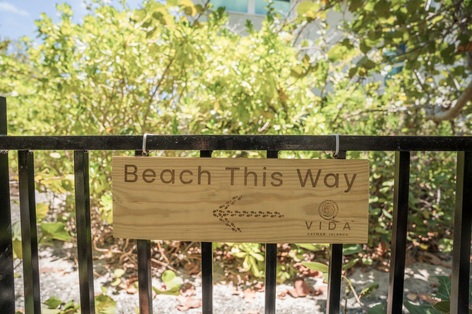 Vida Cayman Islands - Gallery - Grand Cayman's Luxury Boutique Hotel