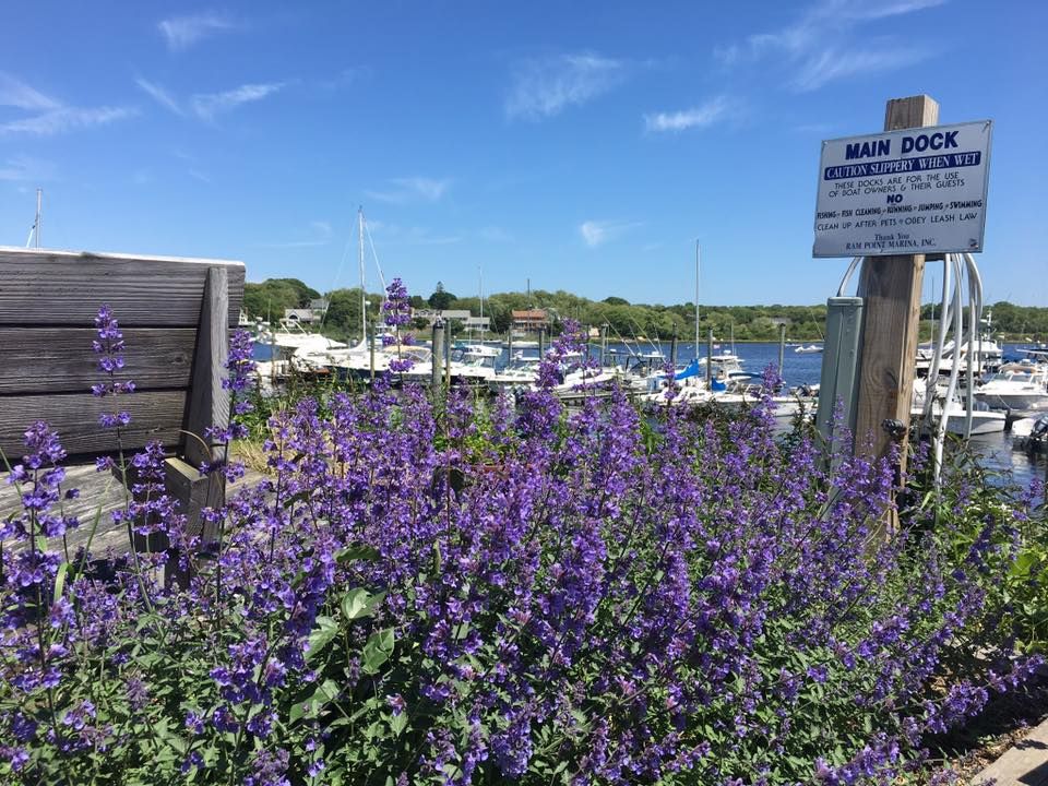 Photo Gallery | Ram Point Marina | Wakefield, RI