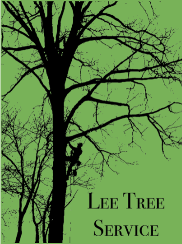 Affordable Tree Service Richmond VA | Lee Tree Service