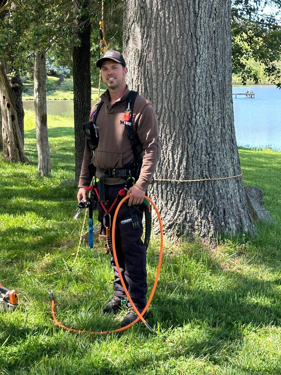 About Us - Lee Tree Service | Tree Removal Richmond, VA