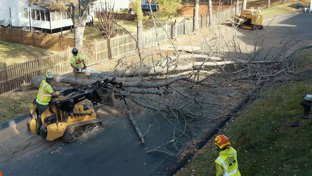 OLI Outdoor Services | Tree Service Company in Godfrey, IL