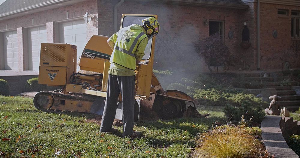 OLI Outdoor Services | Tree Service Company in Godfrey, IL