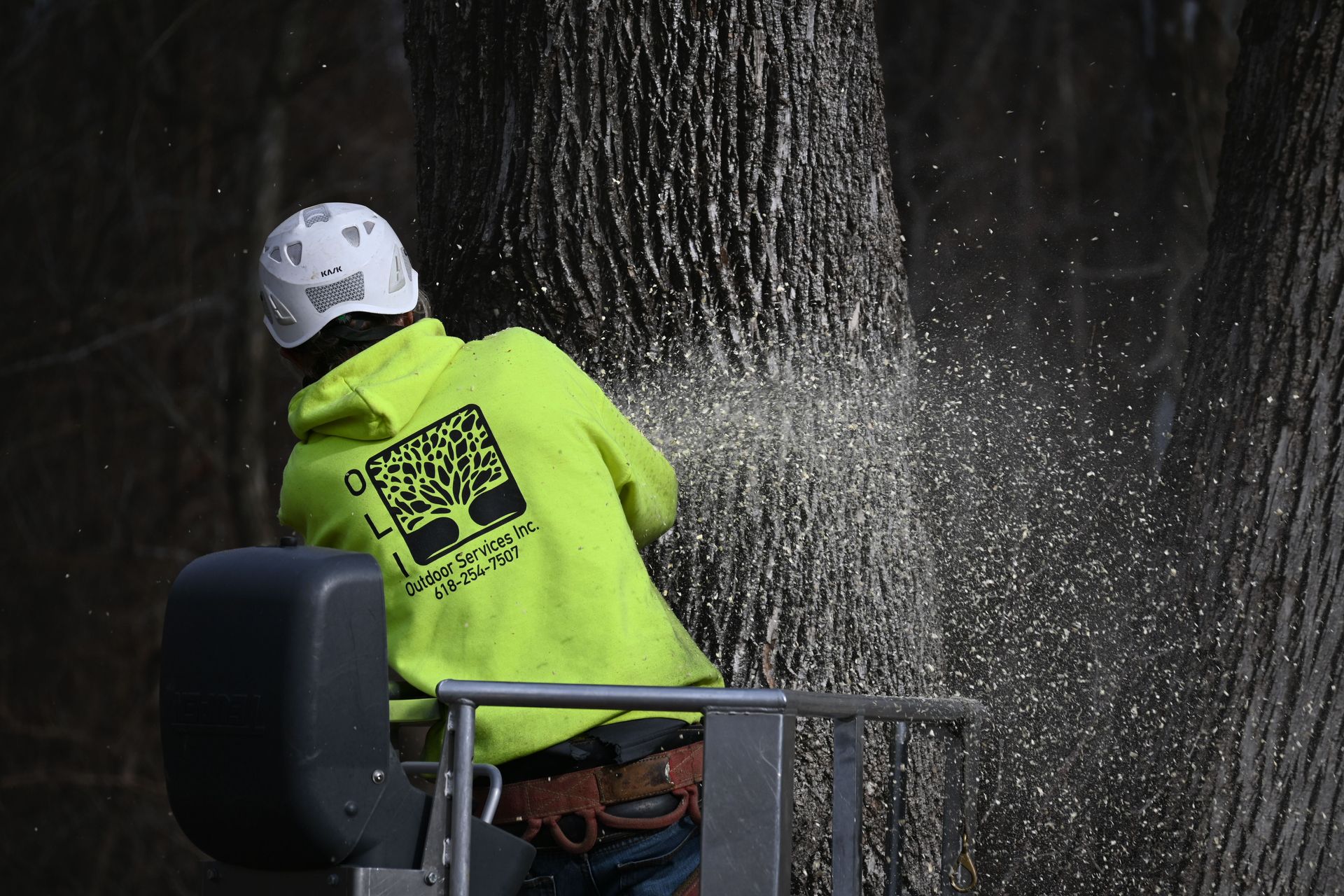 Portfolio | OLI Outdoor Services: Tree Removal