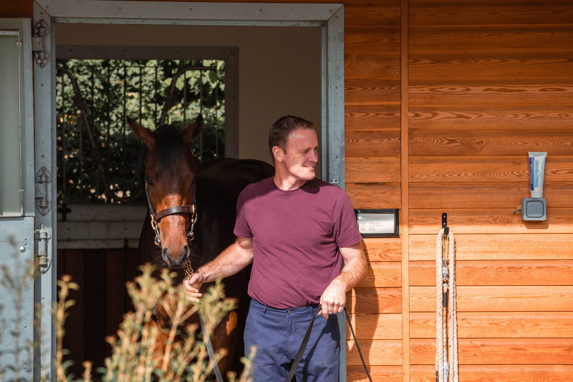 About Daylesford Stud | Premium Thoroughbred Breeding in Gloucestershire