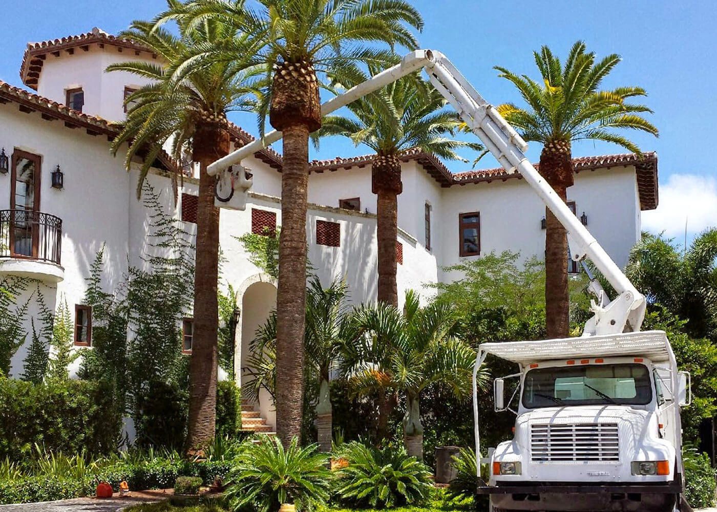 Home [mercadoslawnservice.com]