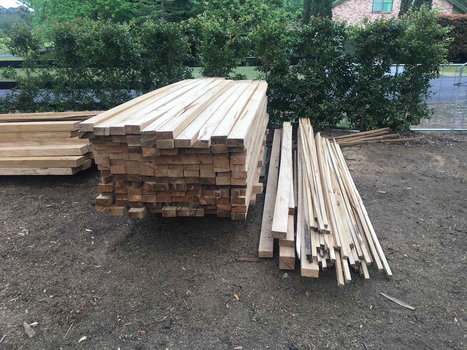 Gallery | Tree Pruning & Removal Services | Assured Tree Solutions
