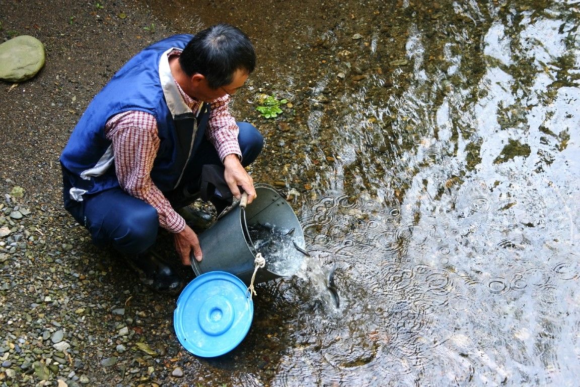 Pond Management & Fish Stocking Services | Tampa Bay FL