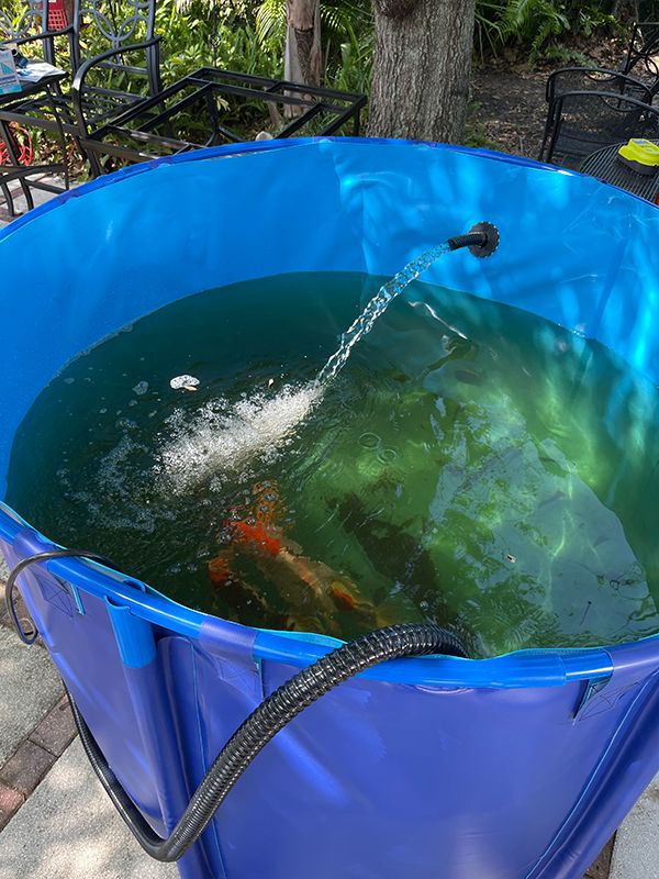 Keep your fish safe and stable during a pond clean out