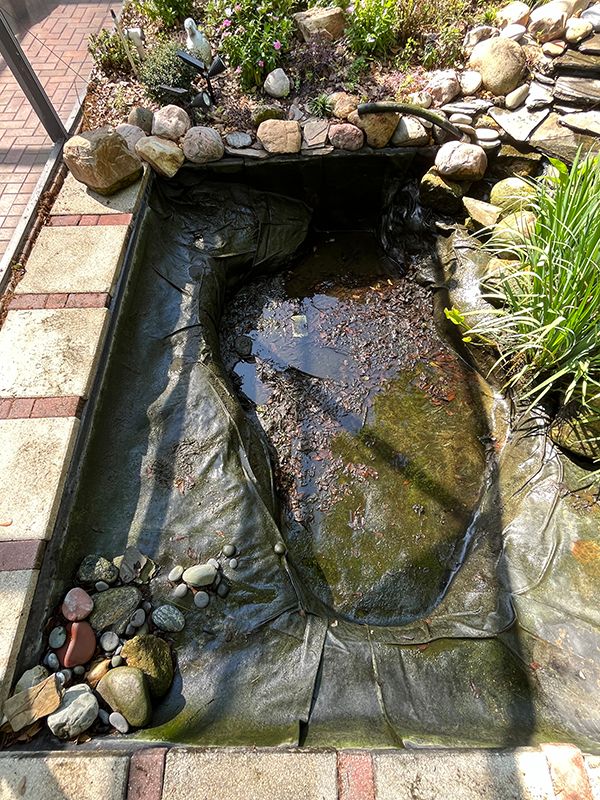Cleaning your Tampa pond doesn't have to be difficult