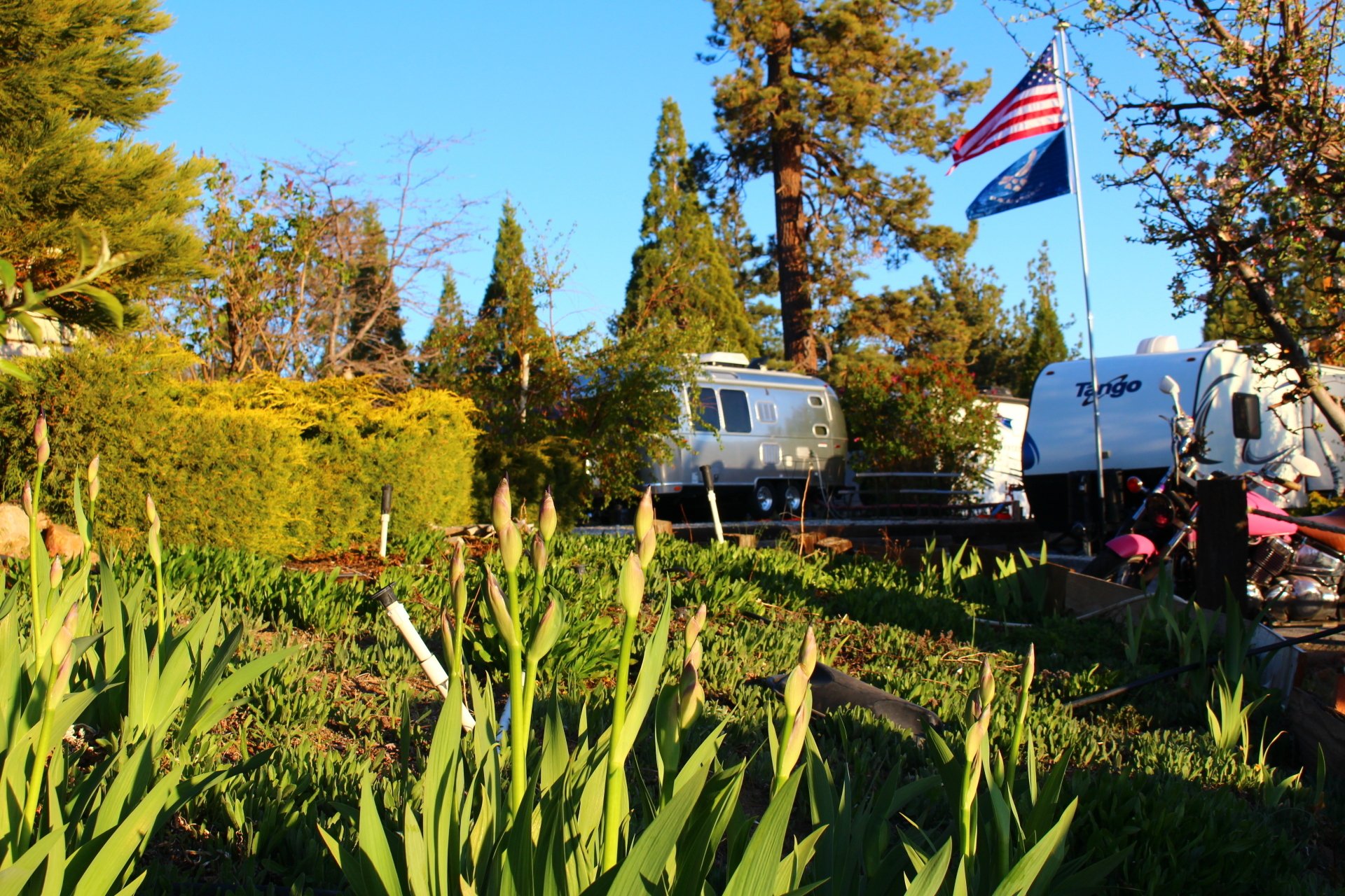 RV Park In Big Bear Lake | Holloway’s Marina & RV Park
