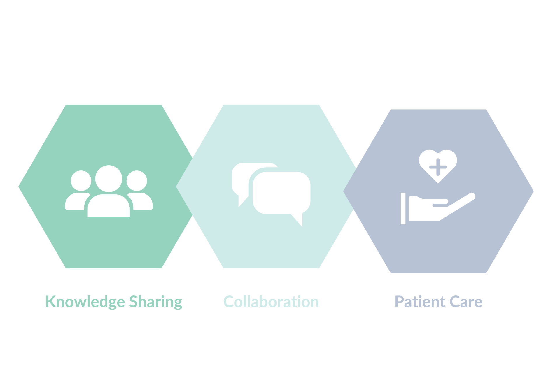 Palliative Care