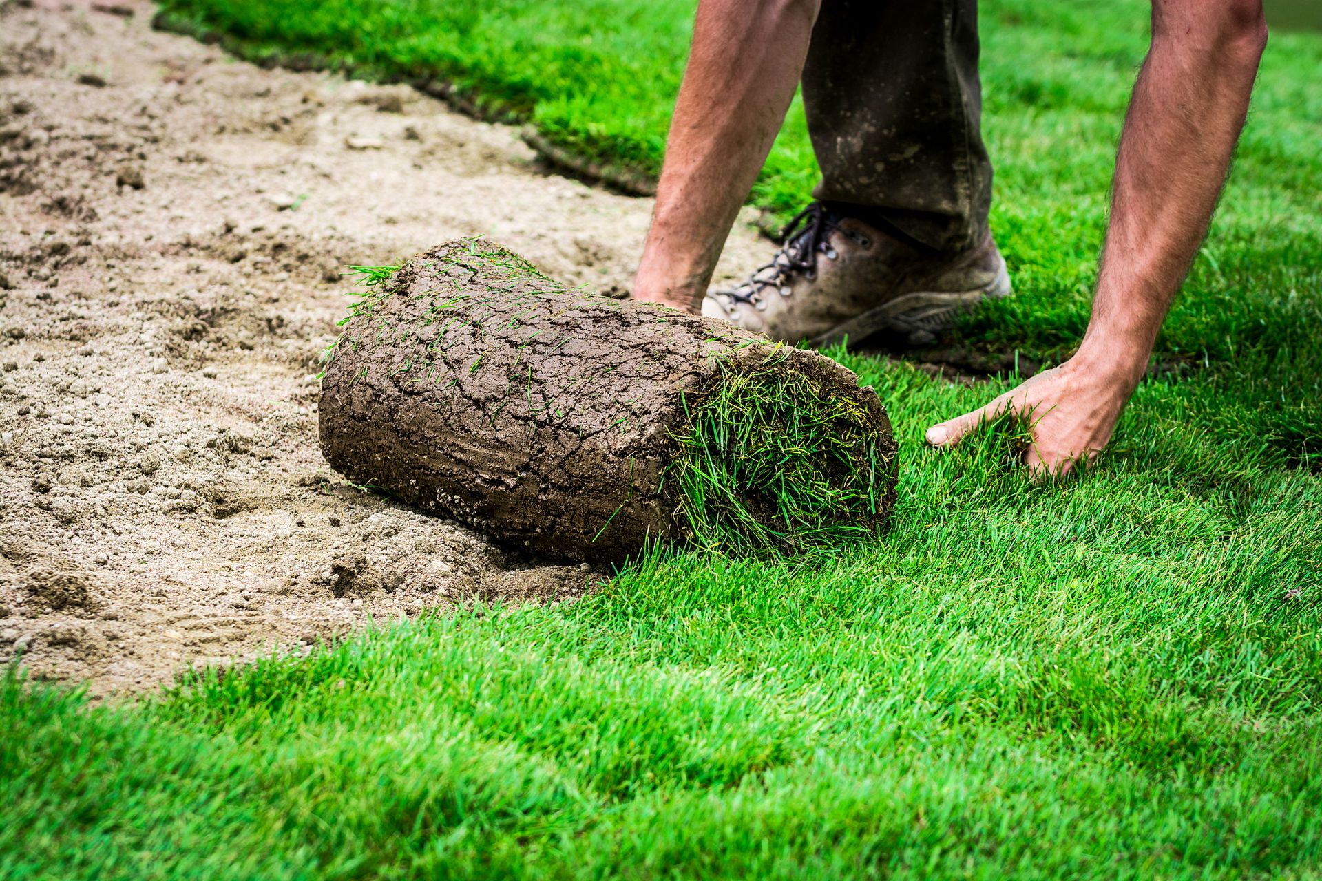 Sod Installation Service - Dixon, CA - Cal Lawn Sod