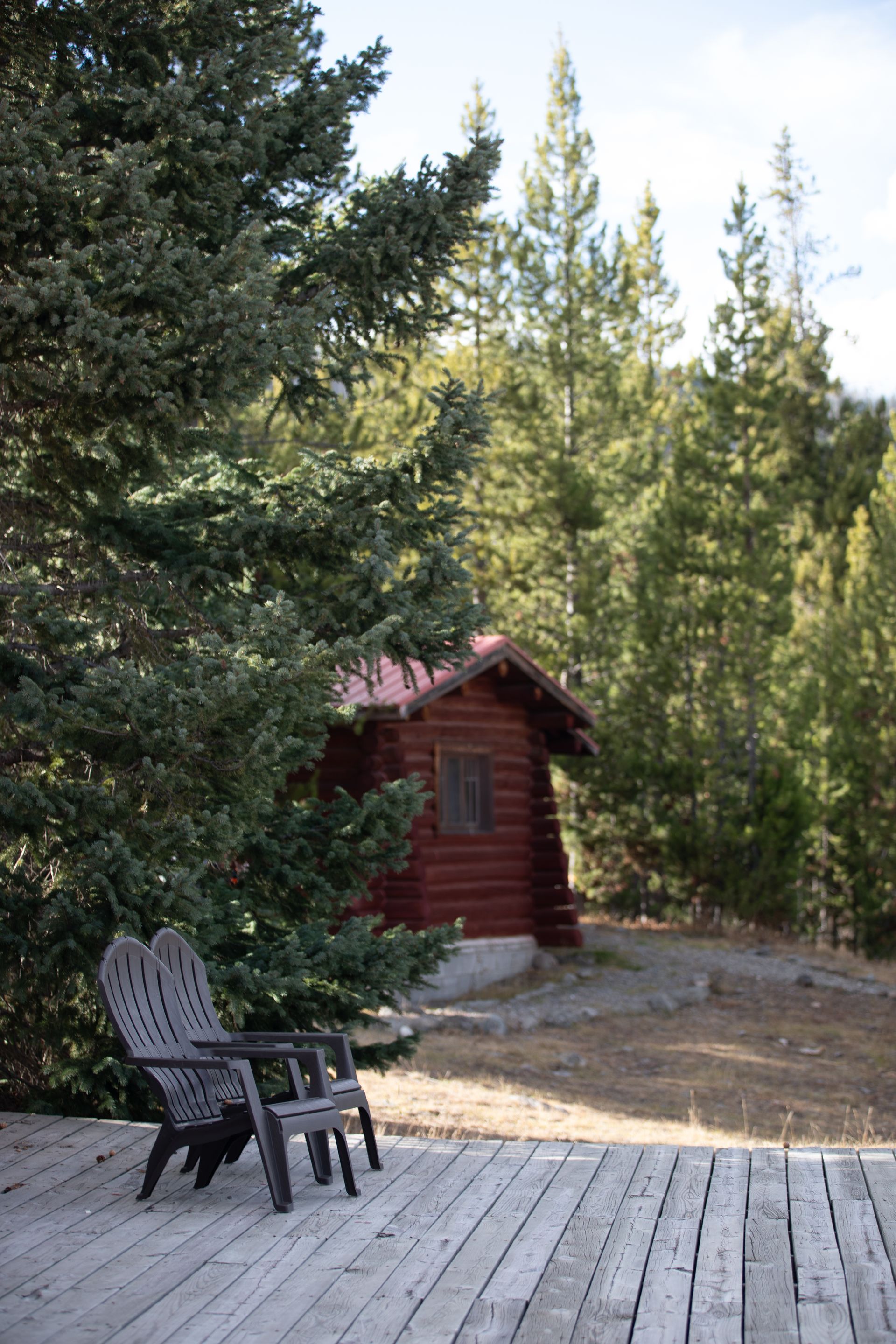 Preserving Heritage & the Land, Experience it! | Double Bar J Ranch