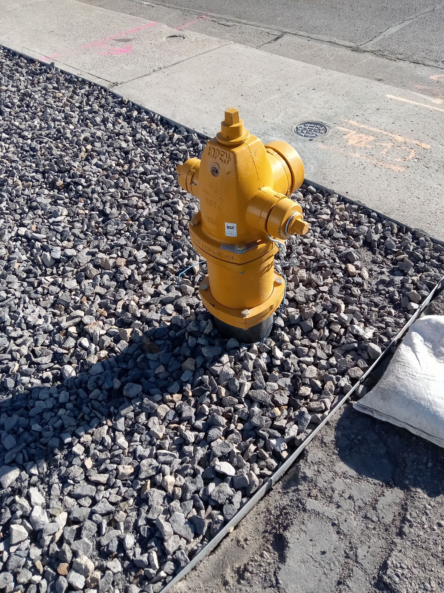 Sewer Repair & Inspection | Denver Sewer Pros