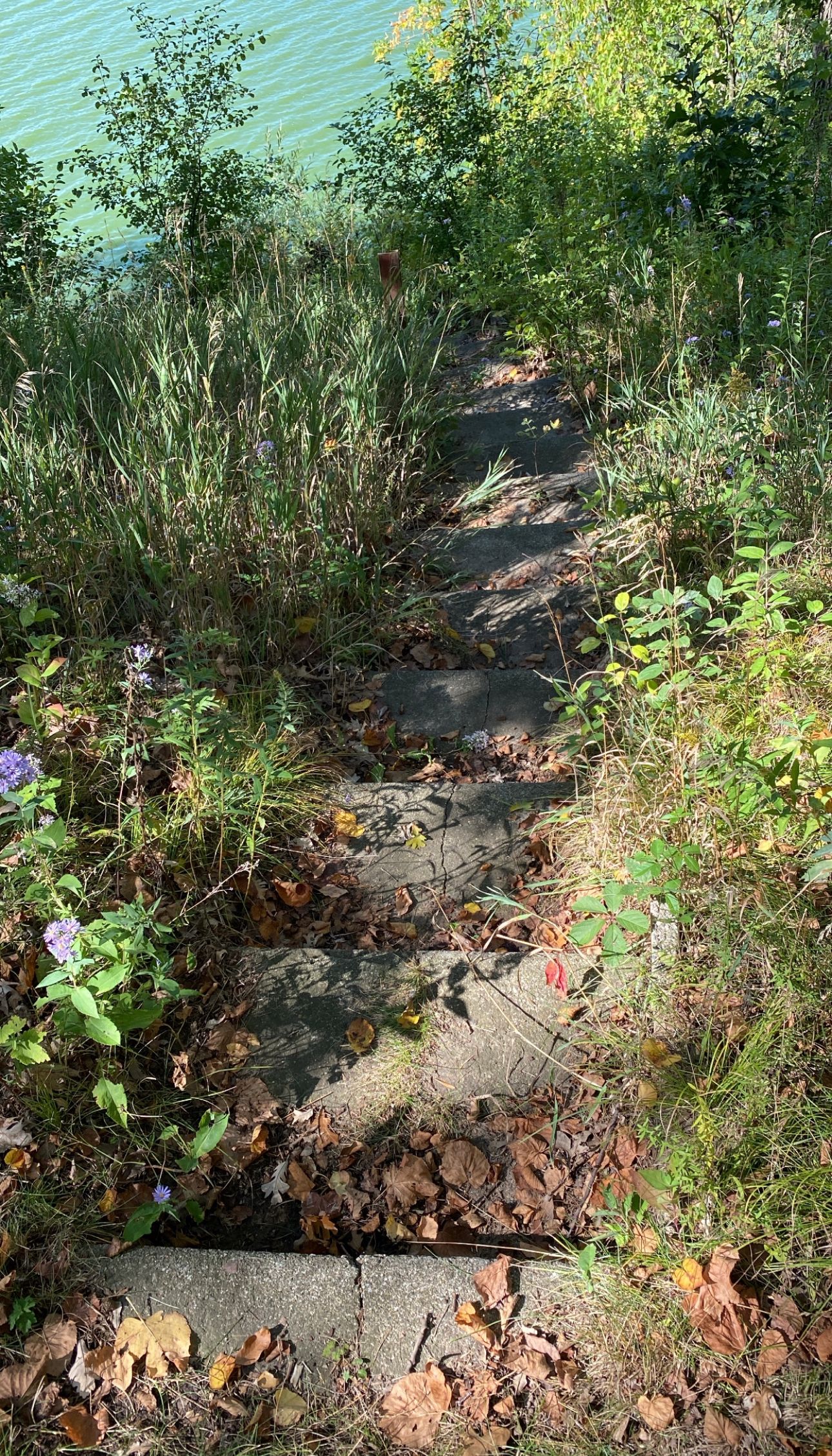 RETAINING WALL & FIRE PIT