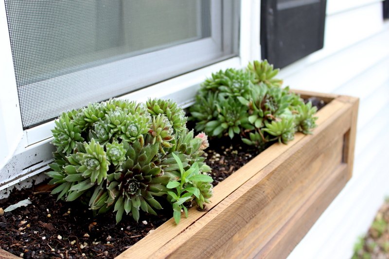 DIY WINDOW BOXES