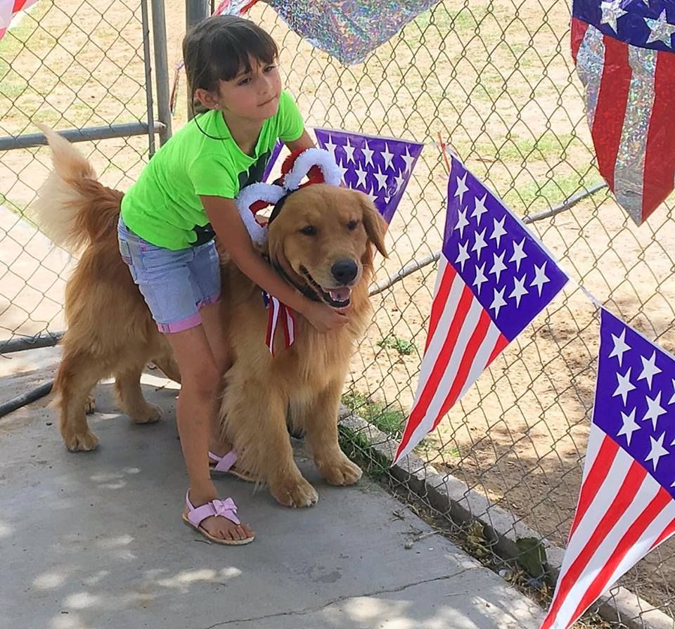 Dog Kennels El Paso