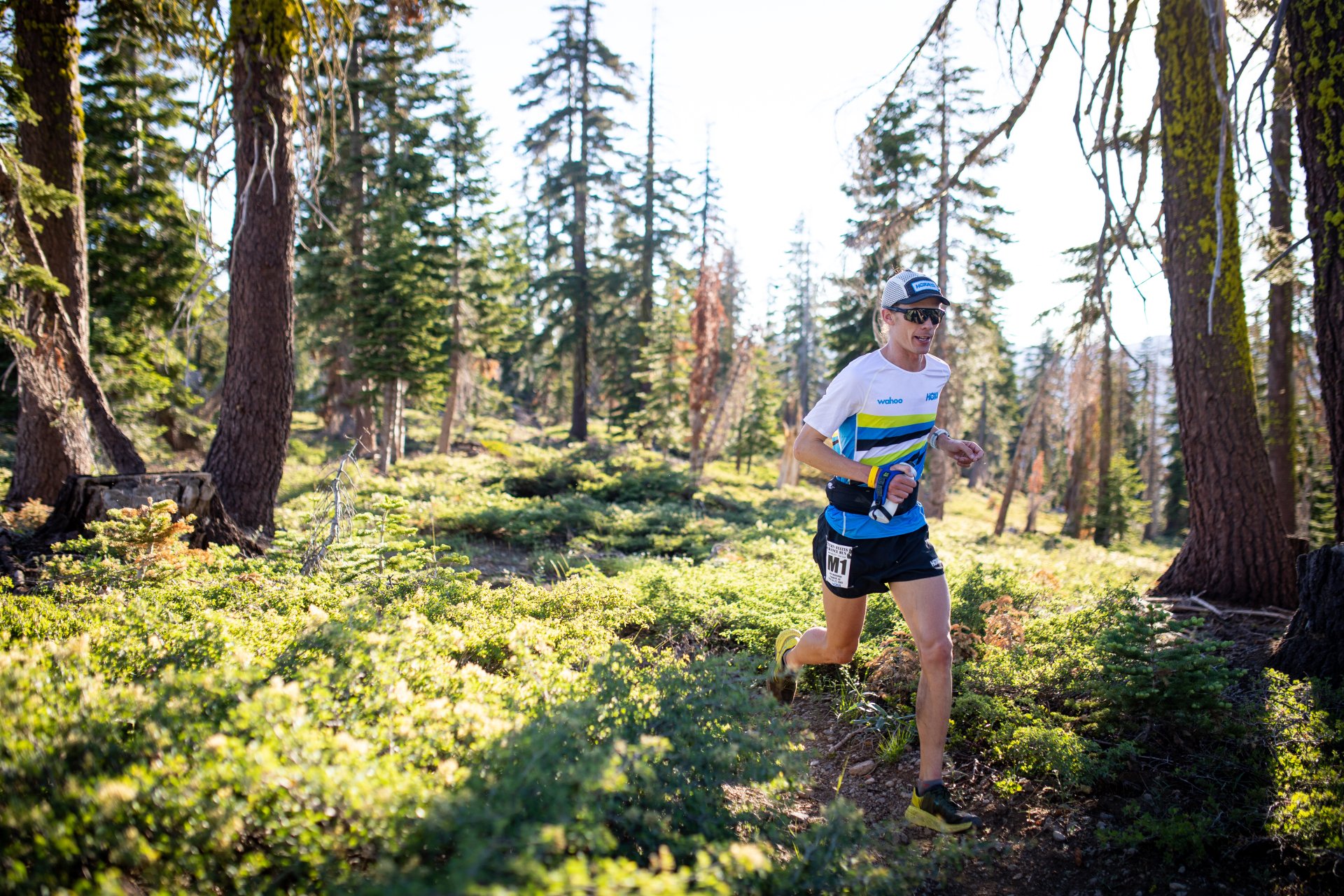 Auburn Running Compnay