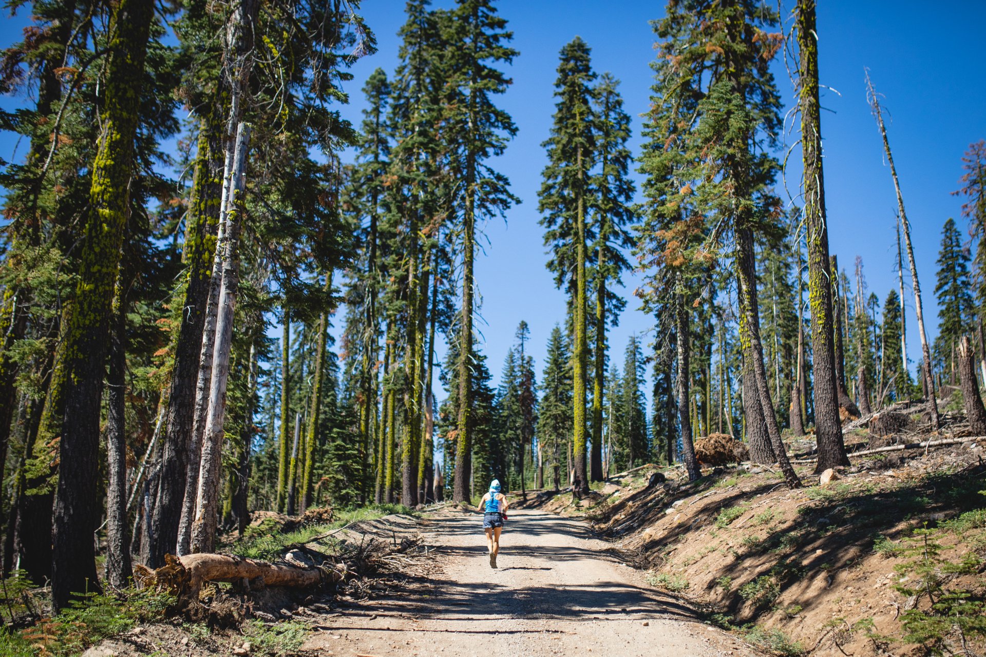 Auburn Running Compnay