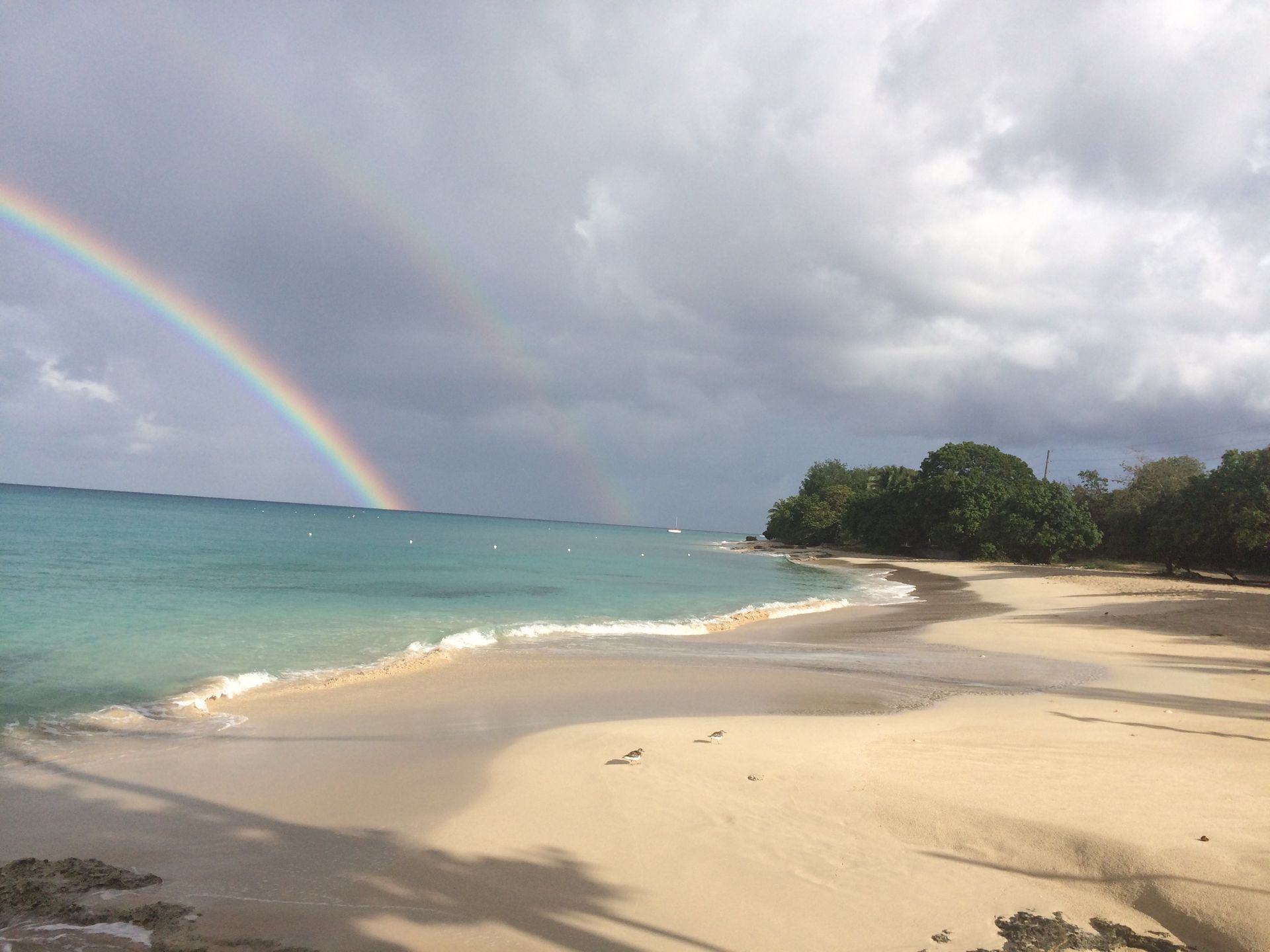 Gallery | Victoria House, Frederiksted, on the west coast of St. Croix
