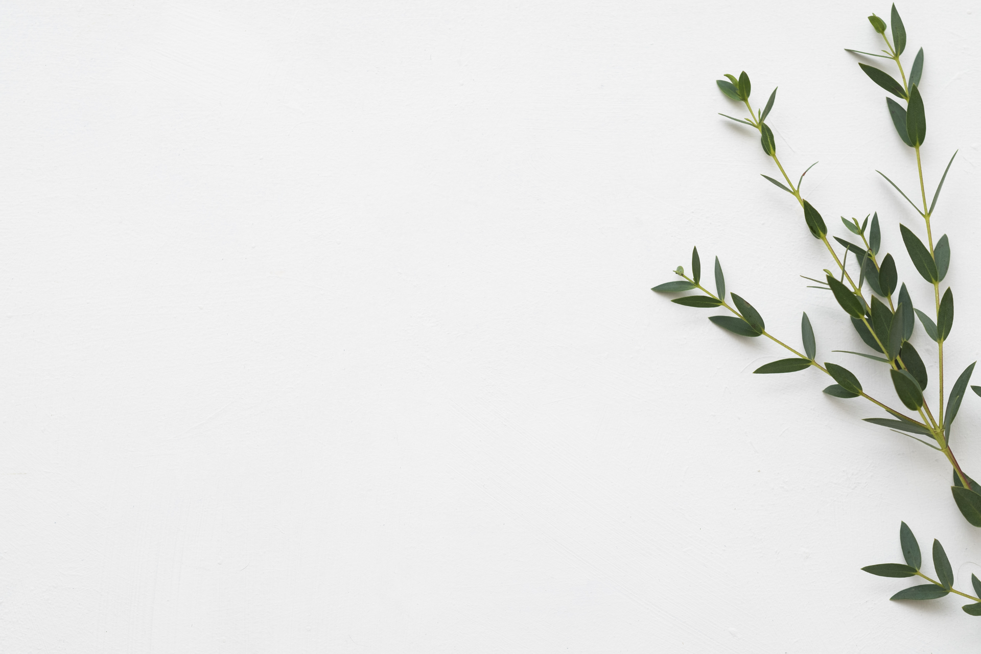 Rose Junie Therapy - Long Beach Therapy Services