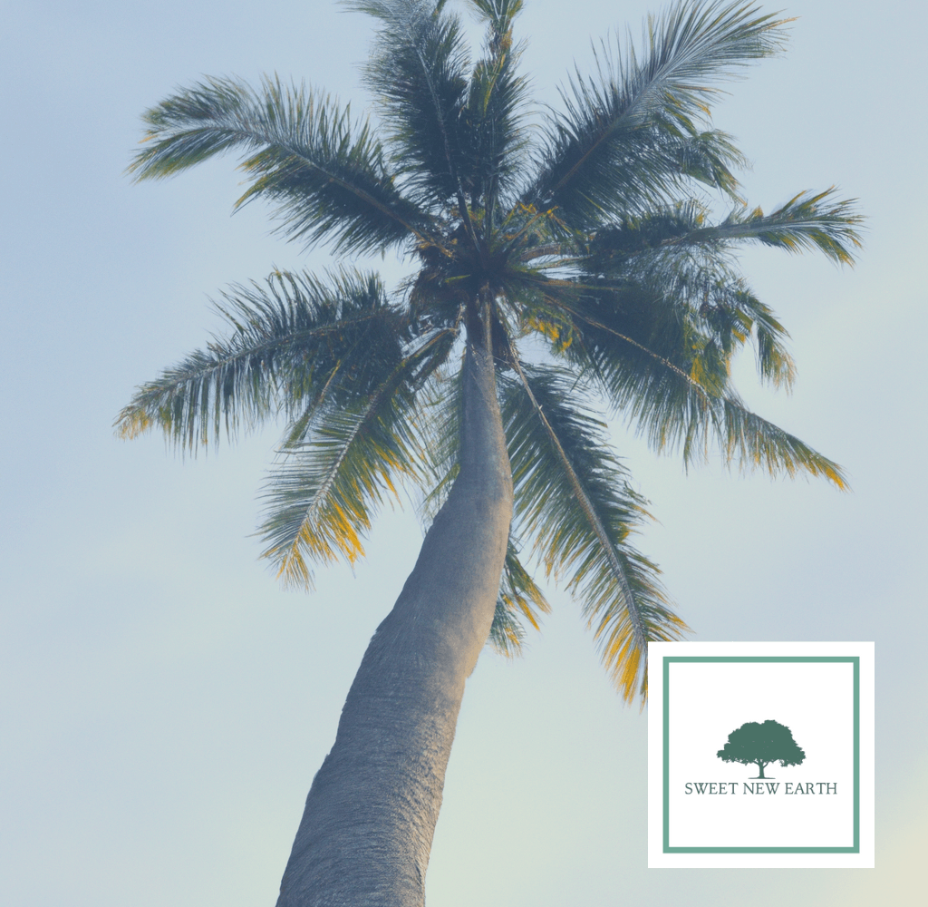 Types of Coconut Trees