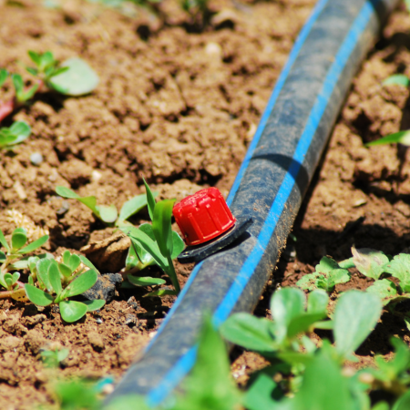 How To Test Your Irrigation System