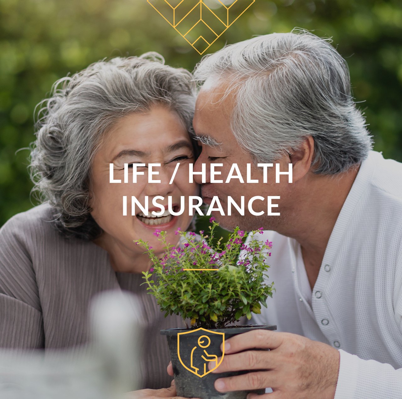 Vancouver's Trusted Insurance Brokers | Park Georgia Insurance
