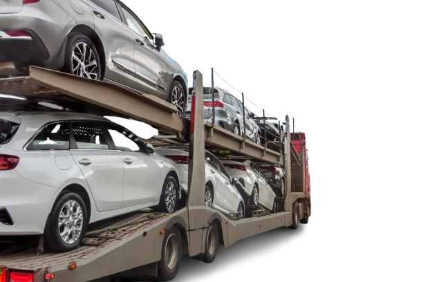 Meet Our Professional and Stellar Logistics Team in Logan