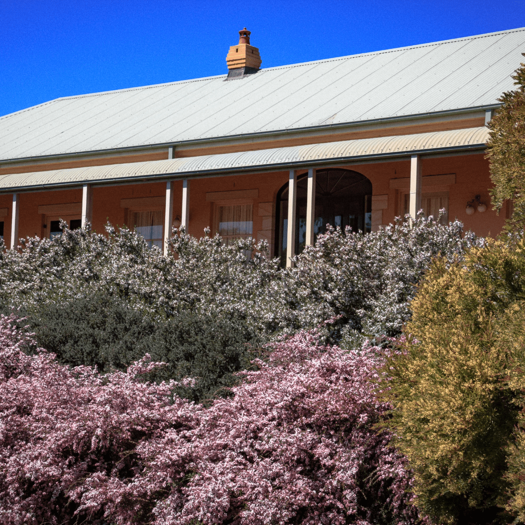 Garden Design in Southern Highlands | Wariapendi Native Nursery