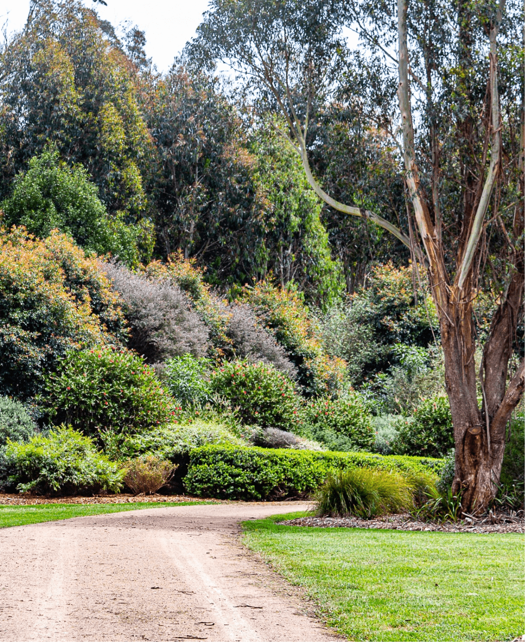 Garden Design in Southern Highlands | Wariapendi Native Nursery