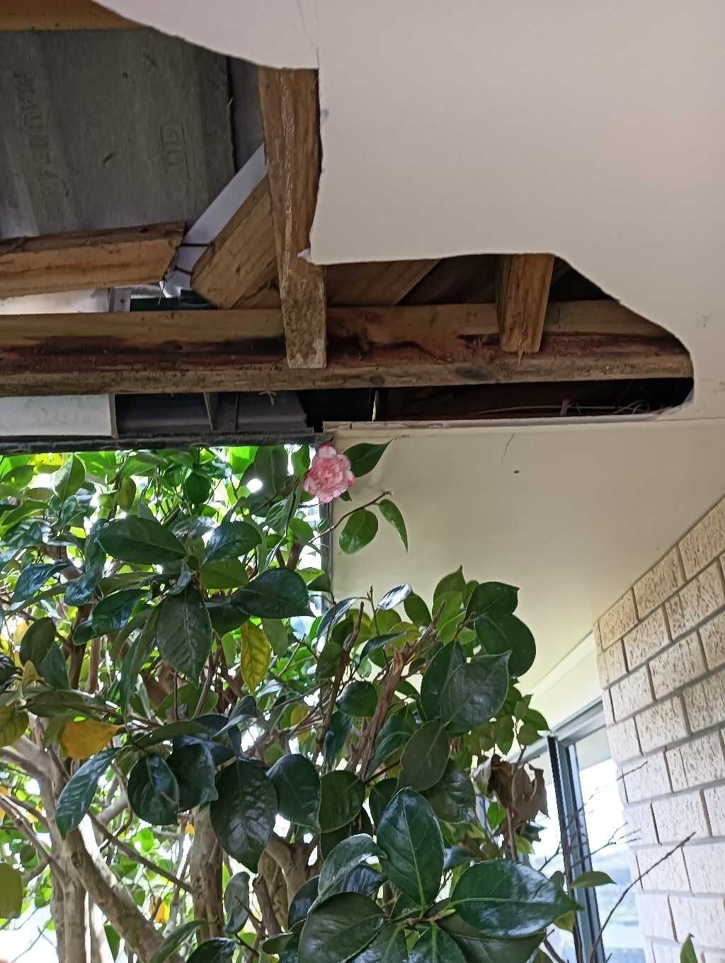 Fascia Conversion Specialists | Onehunga, Auckland