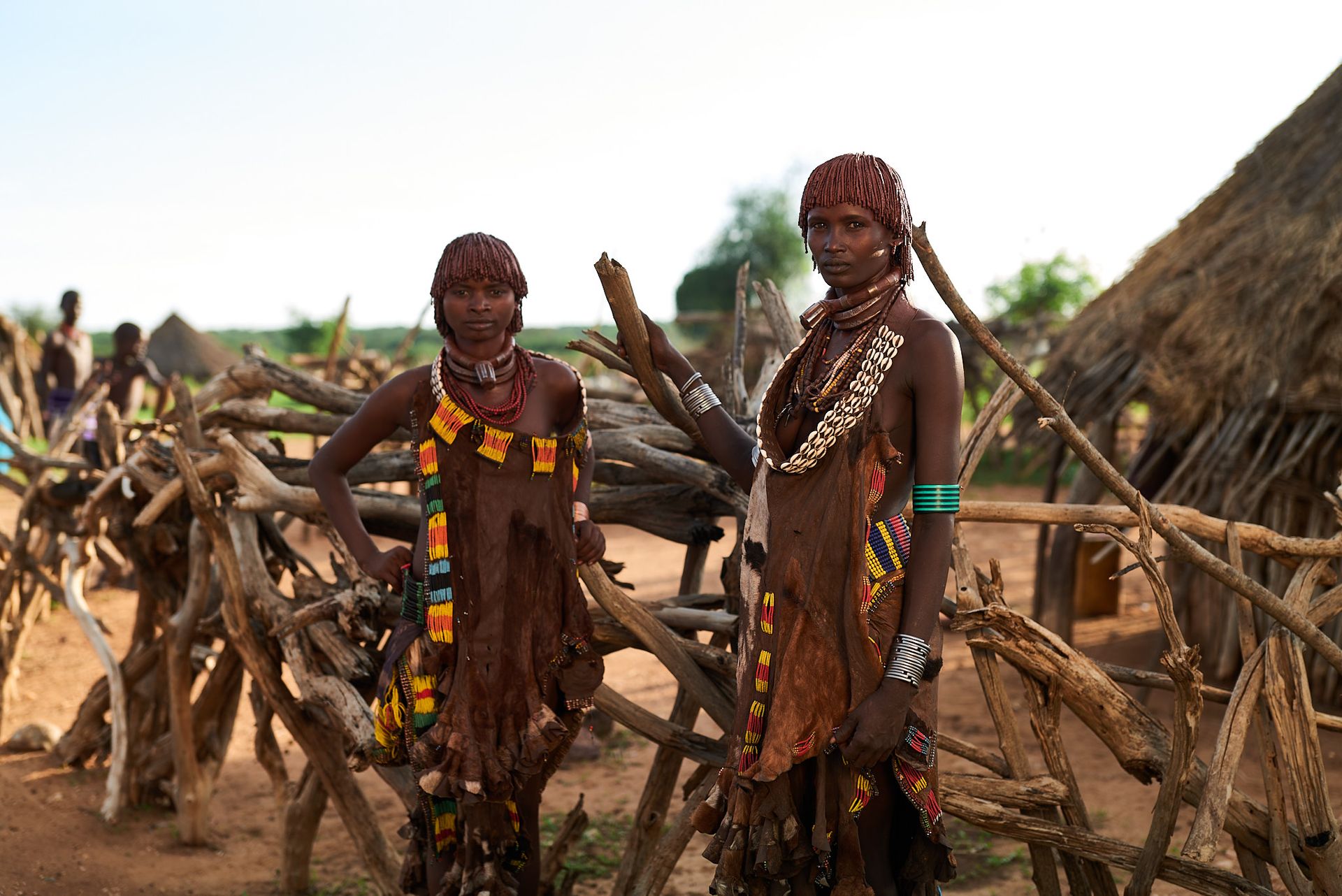 Honor The Tribe - by Fiber Interiors