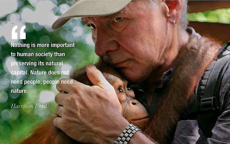 Harrison Ford recognised for environmental leadership in 2026