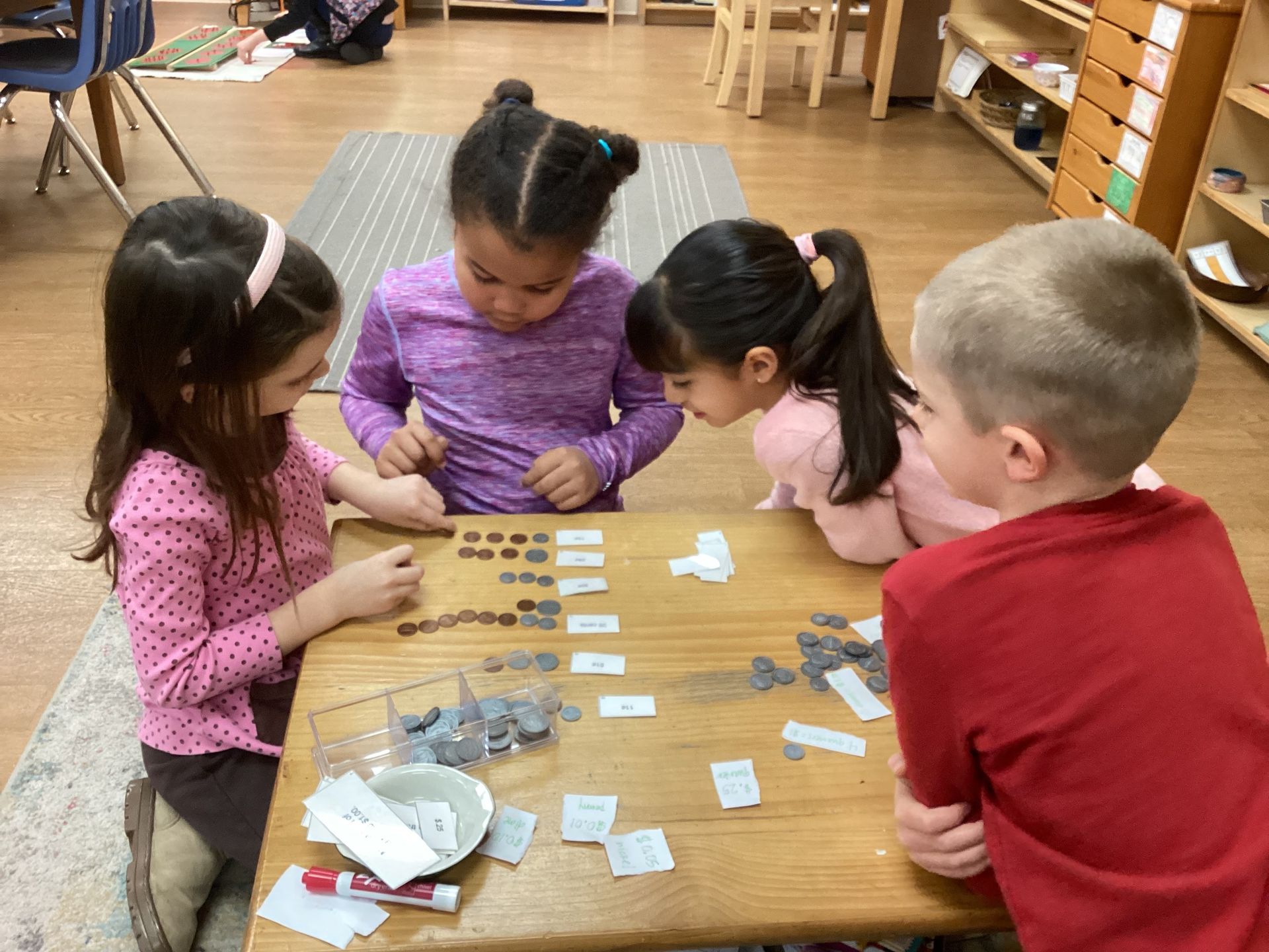 What is the Montessori Three-Year Cycle?