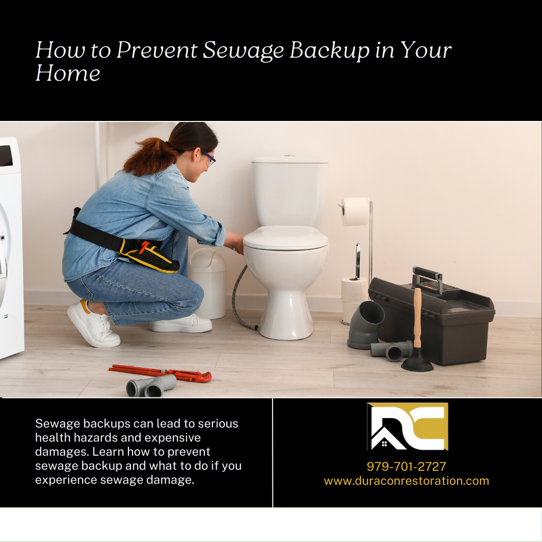 How to Prevent Sewage Backup in Your Home
