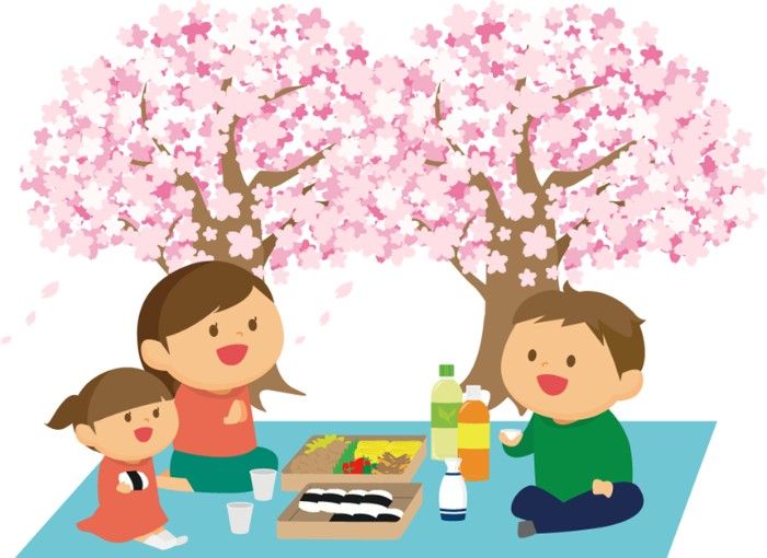 Hanami: Celebrating the Beauty of Cherry Blossoms in Japan