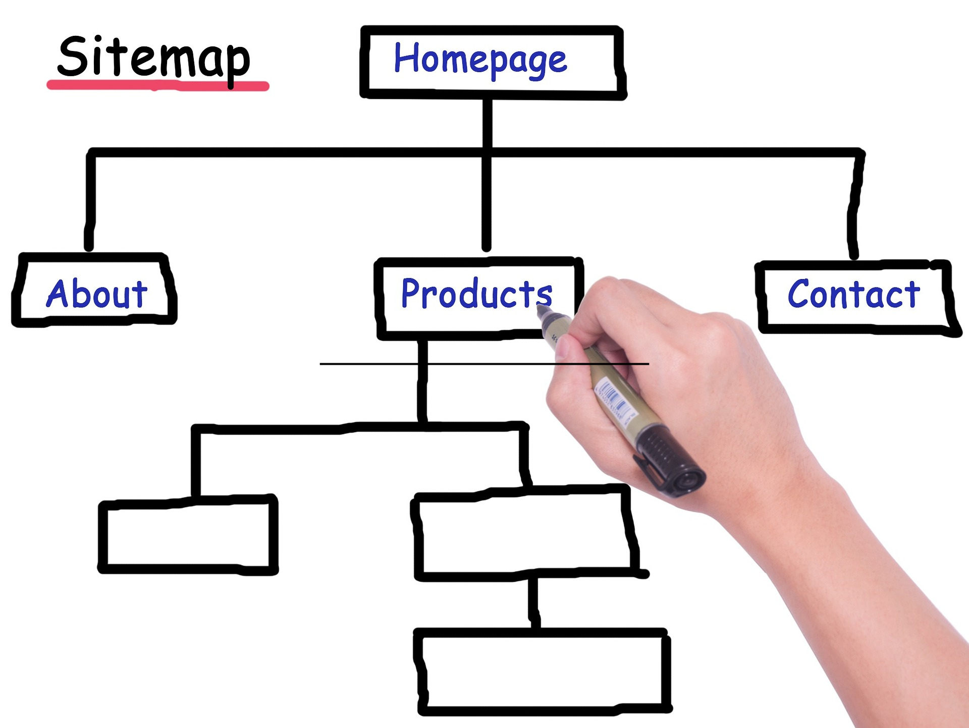 Brooklyn Web Design Services | Innovation Nation SEO