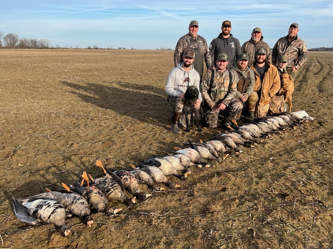 Early Specklebelly Goose Hunting Guide & Outfitter