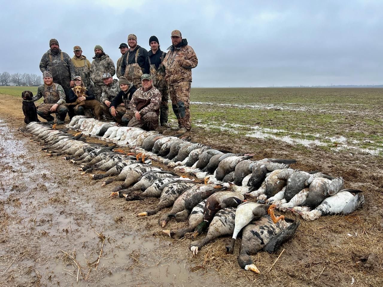 AR Regular Goose Hunting Season - Arkansas Guided Hunts