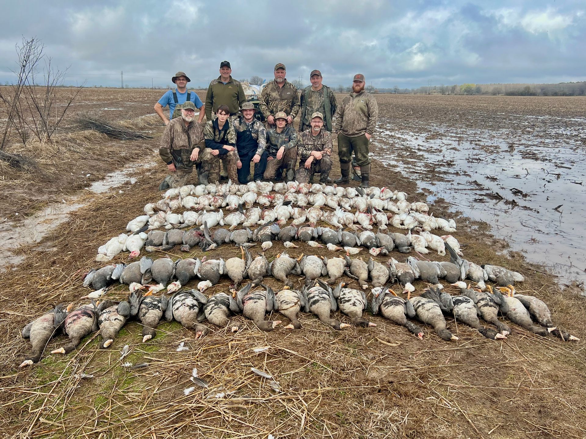 Arkansas Goose Hunting Outfitter - Specklebelly, Snow Goose