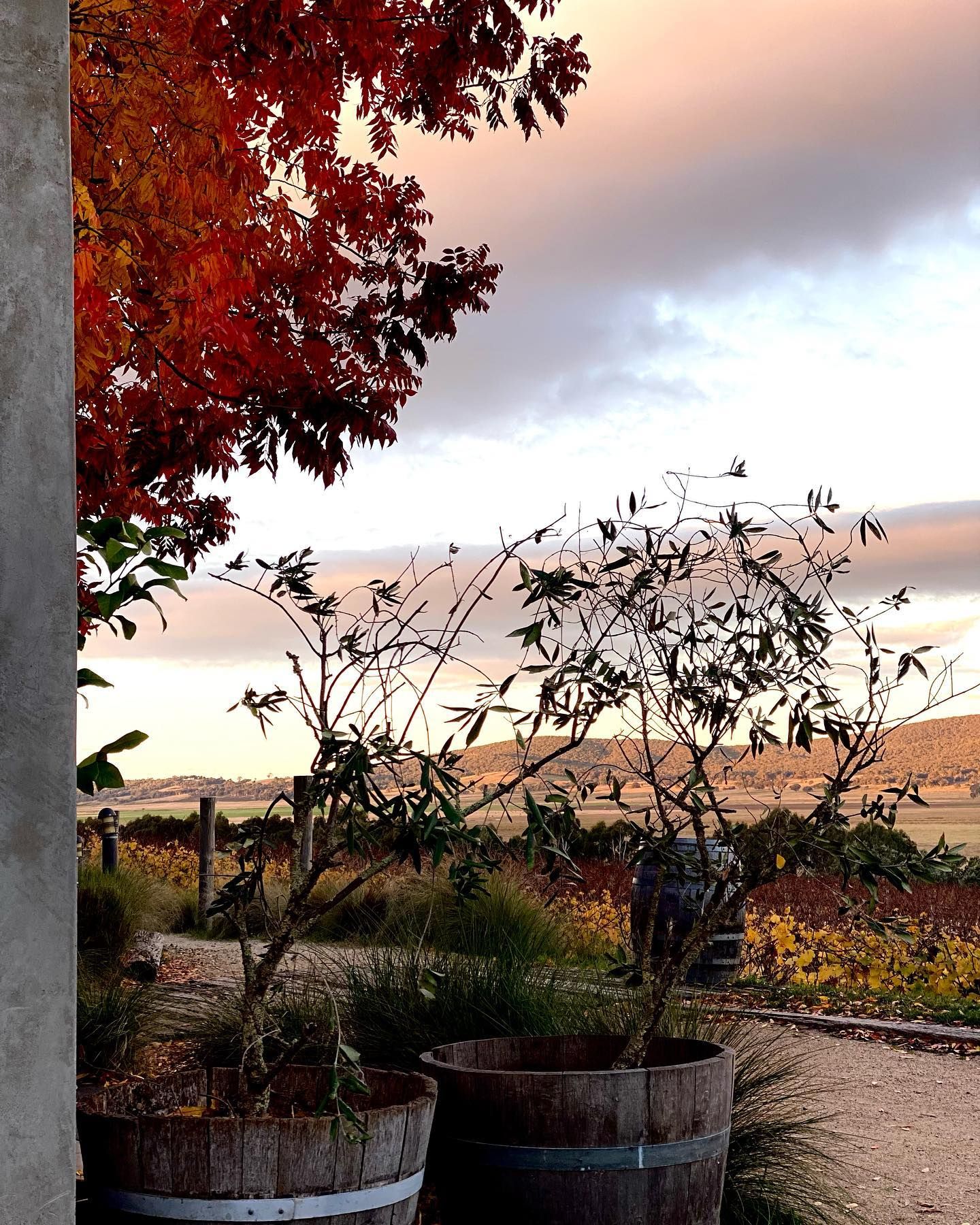 Lerida Estate | Wines | Tastings | Cafe