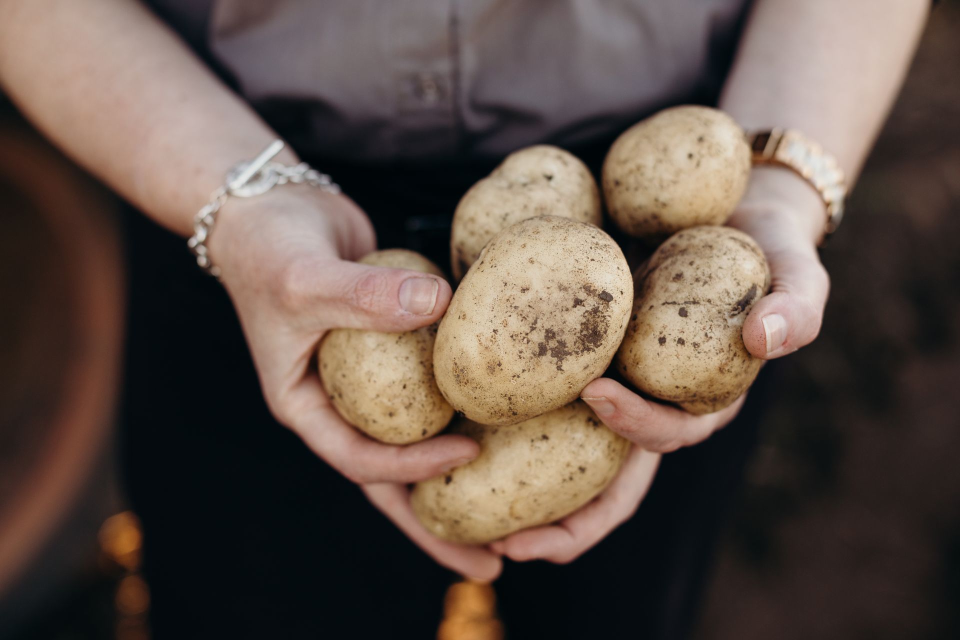 Wholesale Bulk Fresh Cut Potatoes - Freshly Prepared and Ready-to-Cook