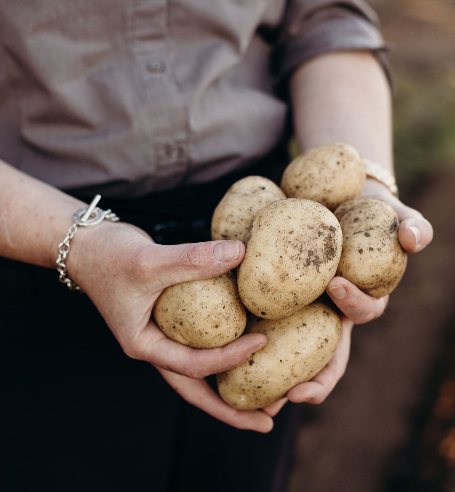 About Us - Discover Our Story | Wickham Farms