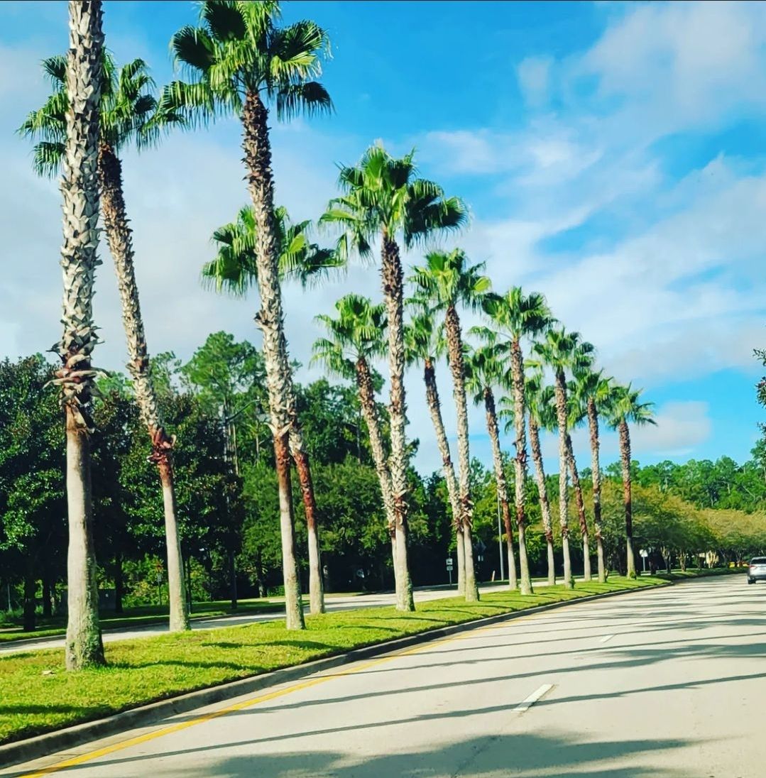 Discovering Nocatee: A Hidden Gem on Florida's First Coast