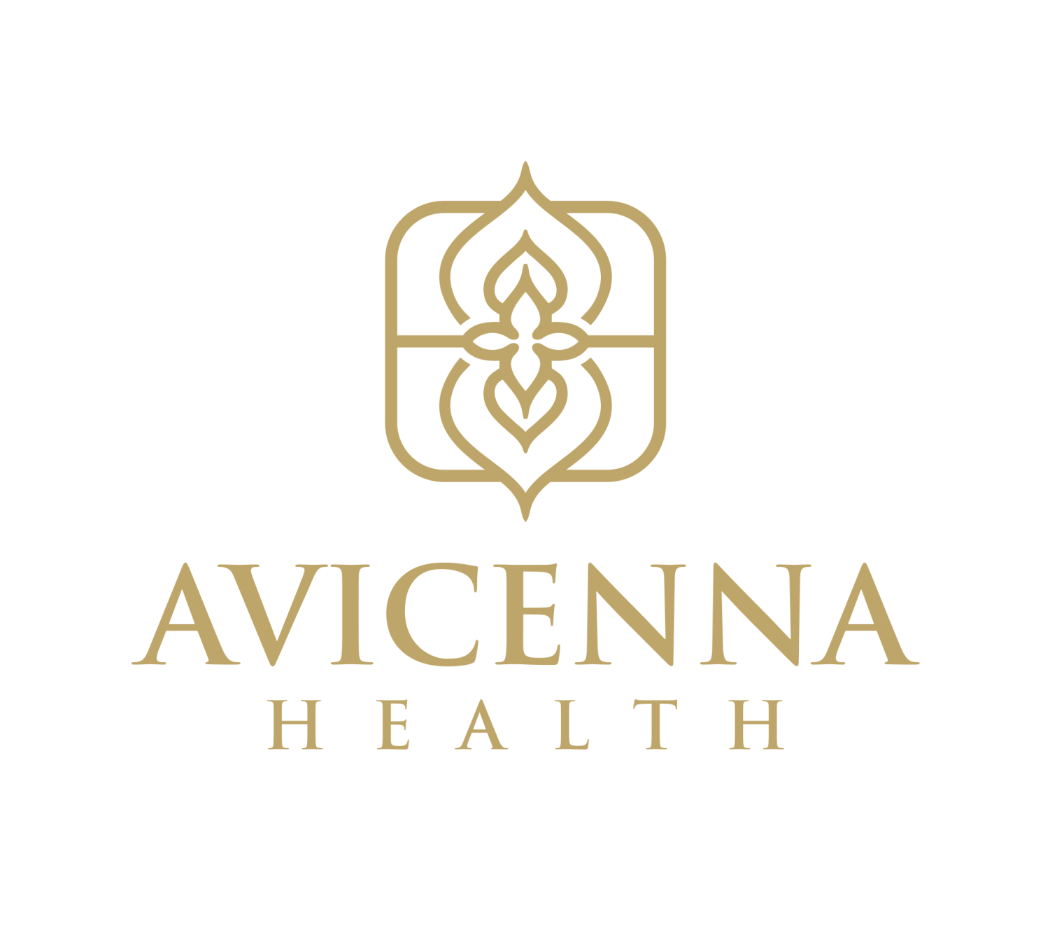 Virtual Doctors Visit | Get Started With Avicenna Health