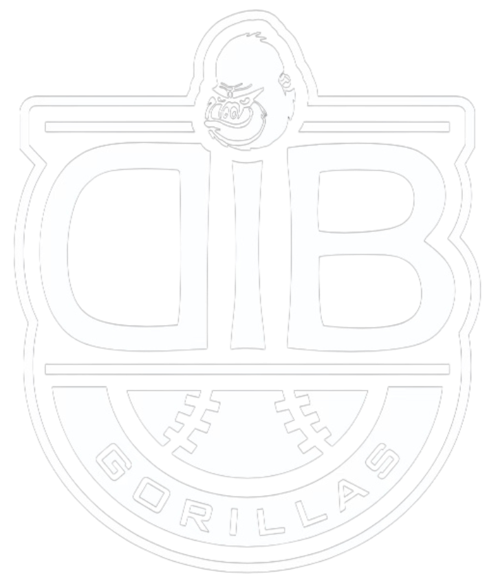 DIB Baseball Academy Salinas & Monterey Ca