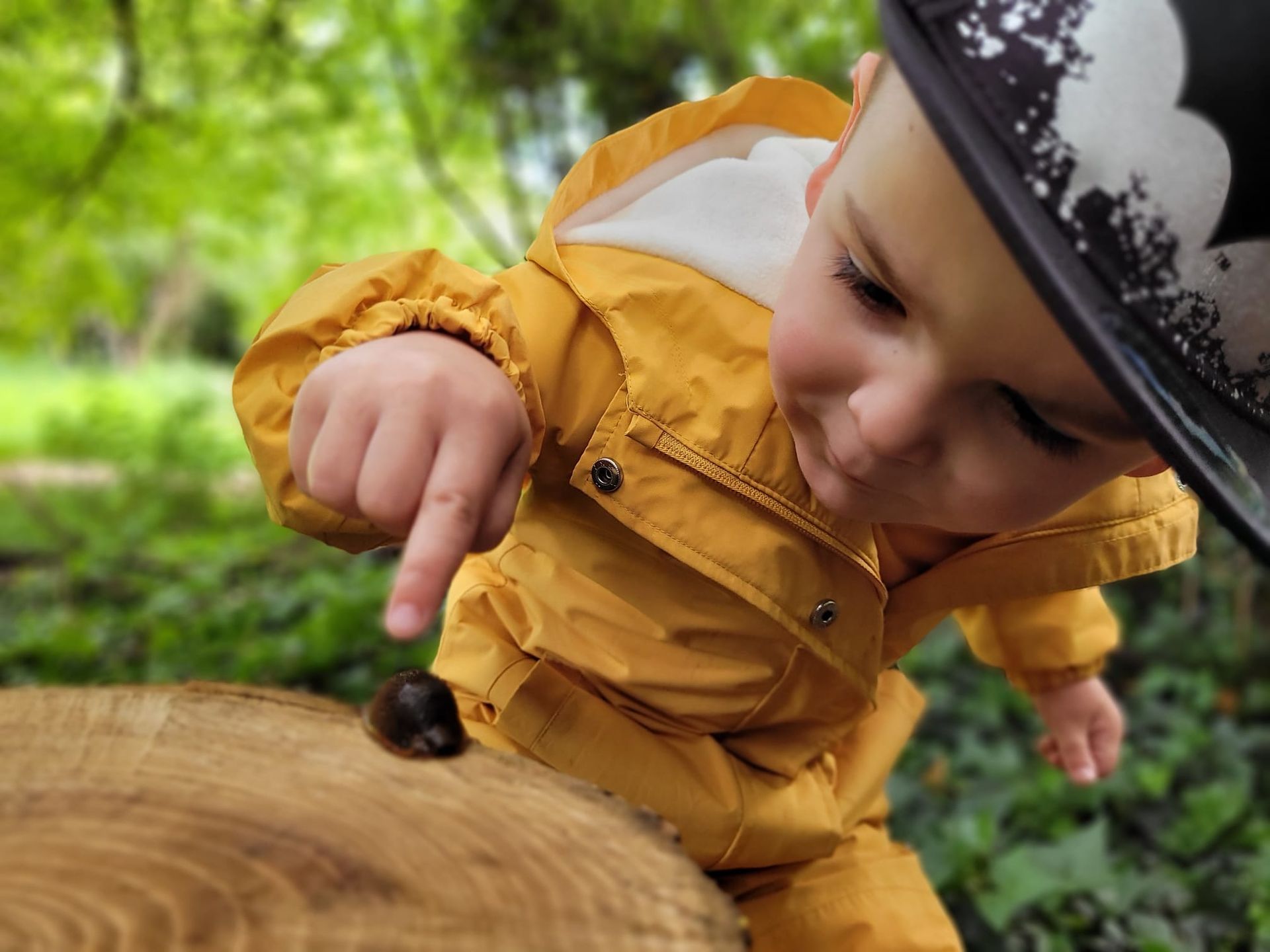 Sessions | Rewilding Forest School