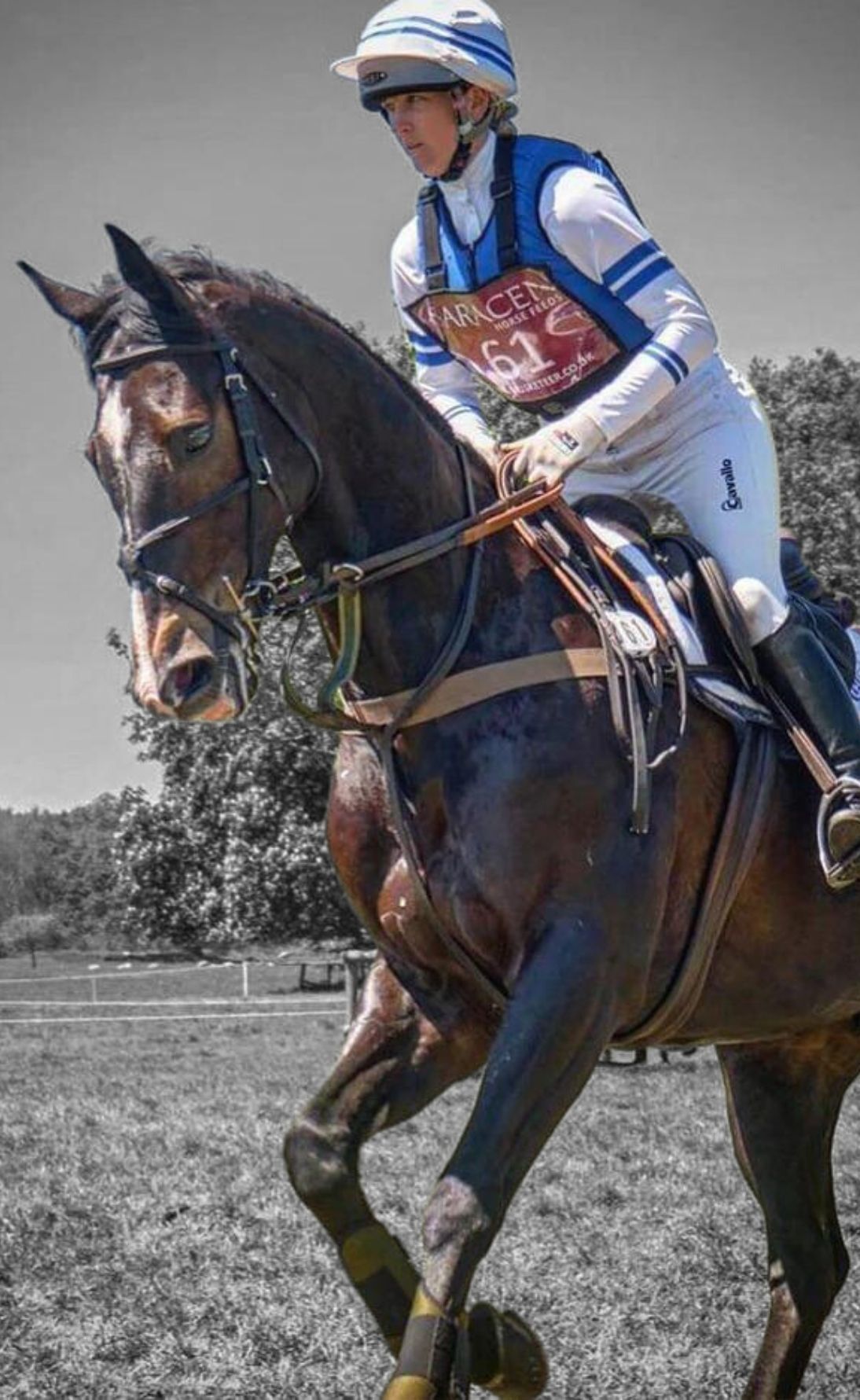 Equine Performance Equipment | The HUSK