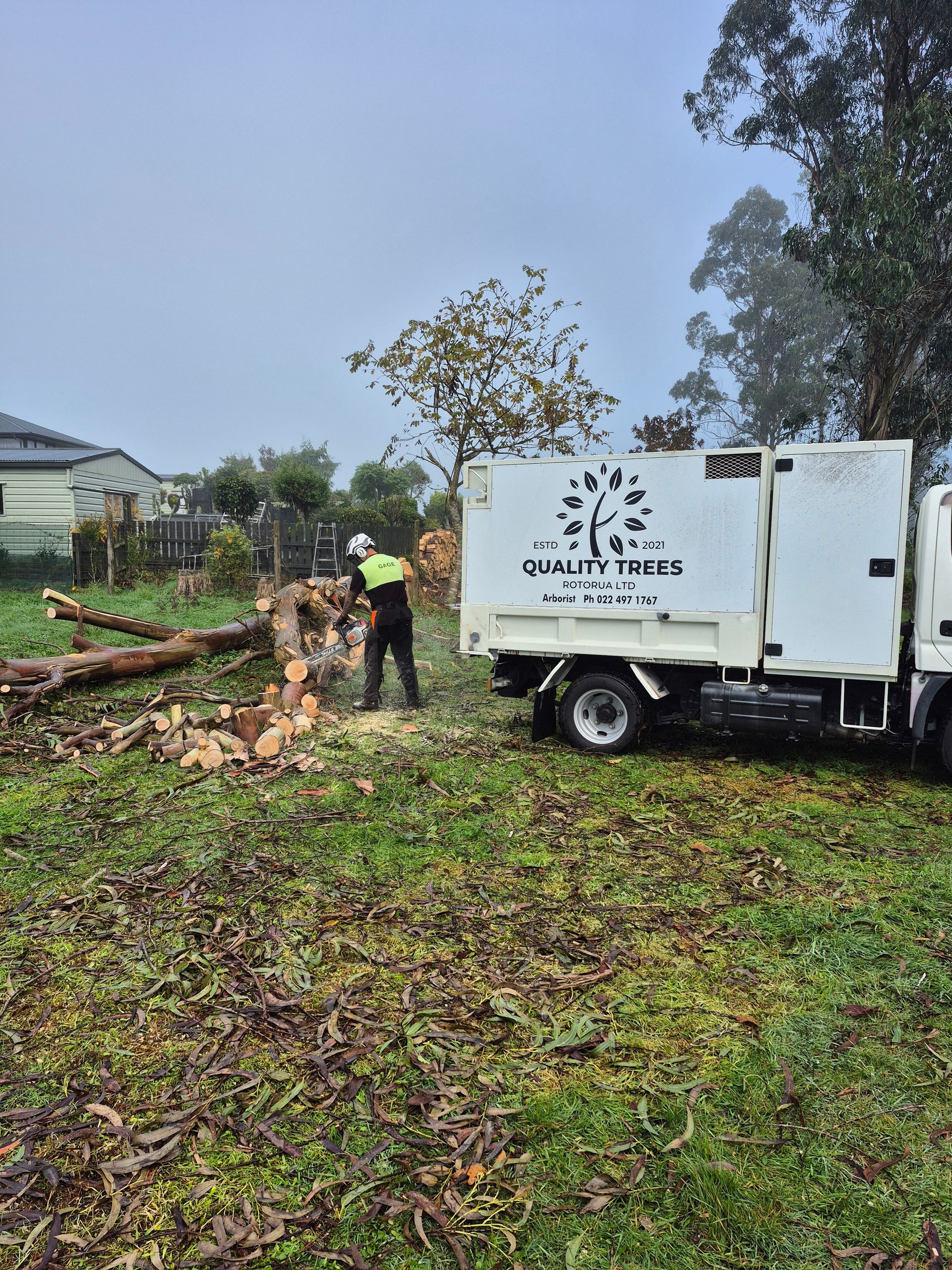 Tree Maintenance & Hedge Trimming | Quality Trees Rotorua